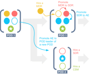 How to Build a Powerful Sales Team | Winning by Design